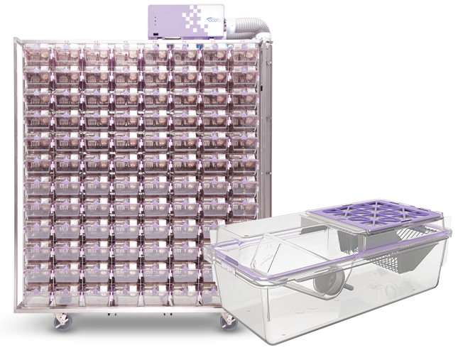 NexGen MAX - Allentown