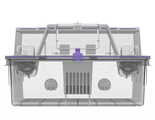 NexGen Rat 1800 Tall - Allentown